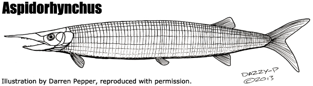 Aspidorhynchus - Alchetron, The Free Social Encyclopedia