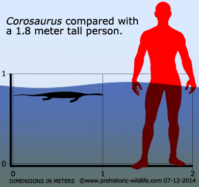 Corosaurus - Alchetron, The Free Social Encyclopedia