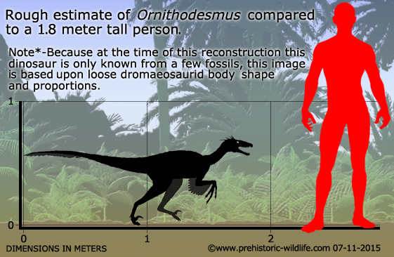 Ornithodesmus - Alchetron, The Free Social Encyclopedia