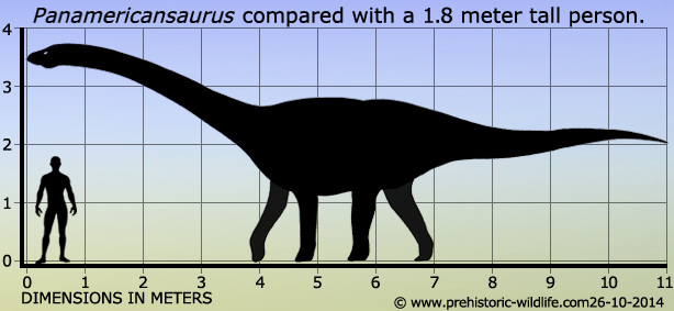 Panamericansaurus - Alchetron, The Free Social Encyclopedia