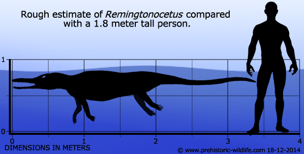 Remingtonocetus - Alchetron, The Free Social Encyclopedia