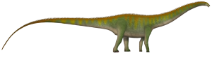Diplodocus | Dinosaur Size, Fossil Map, Pictures