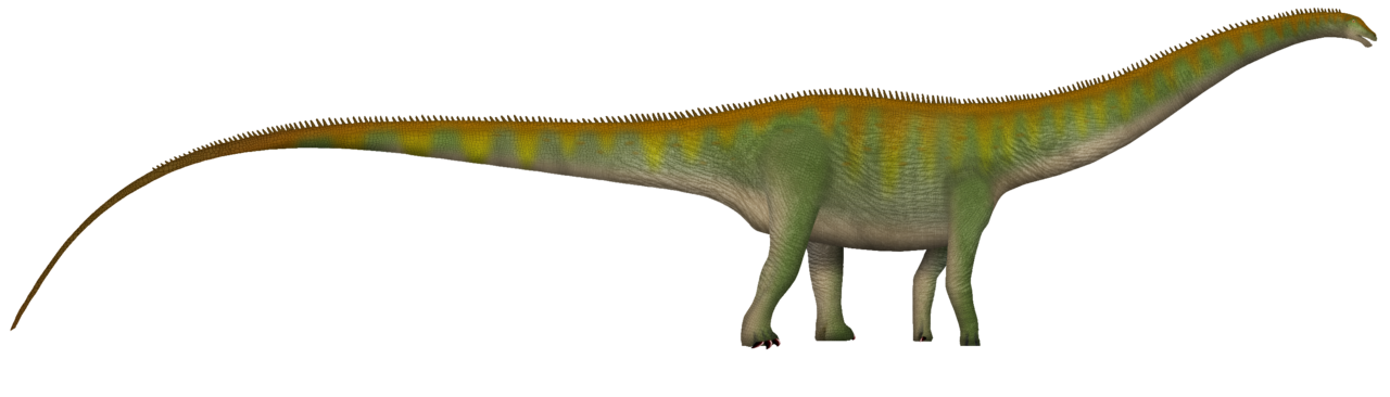 Diplodocus | Dinosaur Size, Fossil Map, Pictures