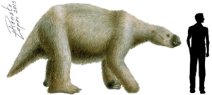 10 Prehistoric Sloths - Giant Species That Dominated the Ice Age