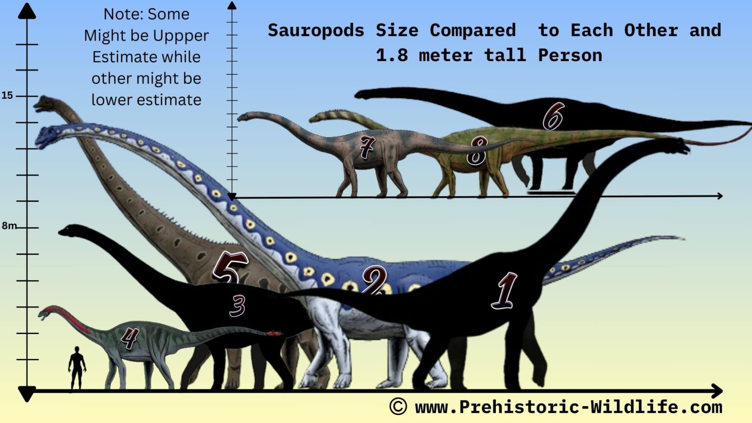 20 Long Neck Dinosaurs - Detailed Size Comparison - Prehistoric-Wildlife