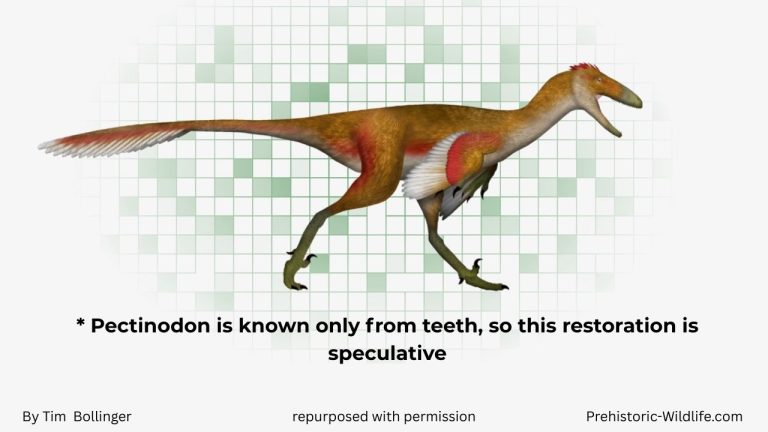 Pectinodon: The Dinosaur Known Only by Its Teeth