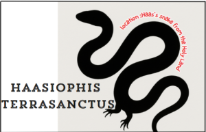 Top 10 Extinct Snakes (+ Jaw Dropping Facts You Don't Know ...