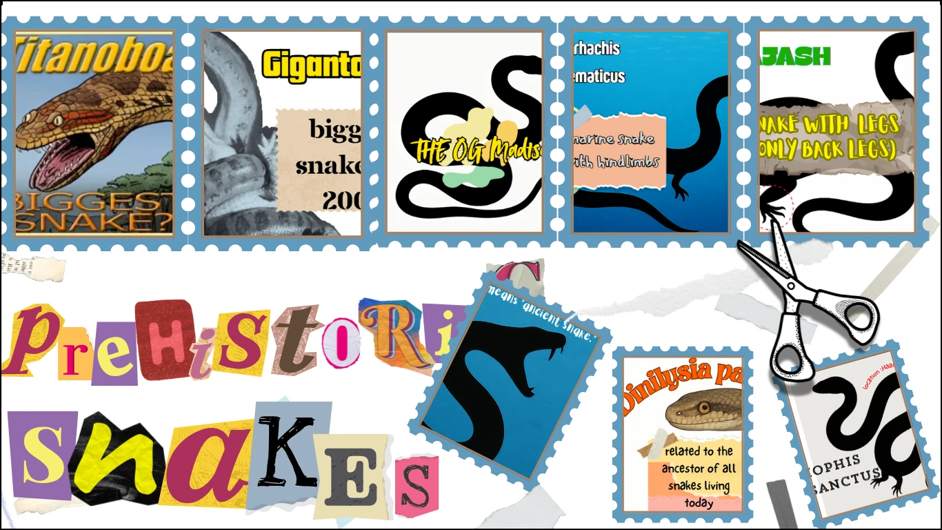 Top 10 Extinct Snakes (+ Jaw Dropping Facts You Don't Know ...