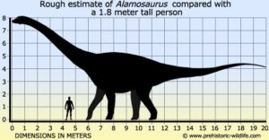 20 Long Neck Dinosaurs - Detailed Size Comparison - Prehistoric-Wildlife