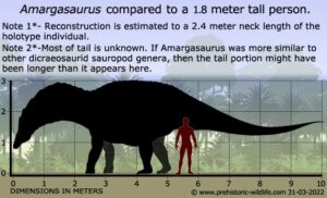 20 Long Neck Dinosaurs - Detailed Size Comparison - Prehistoric-Wildlife