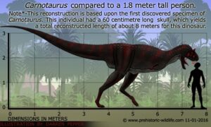 Top Ten Predatory Dinosaurs - Prehistoric-Wildlife