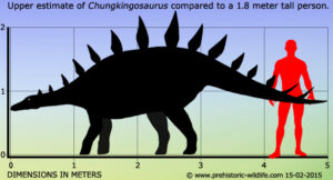 Top 10 Stegosaurs - Prehistoric-Wildlife