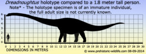 20 Long Neck Dinosaurs - Detailed Size Comparison - Prehistoric-Wildlife