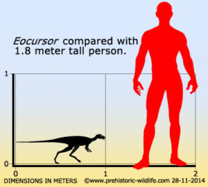Top 10 African Dinosaurs - Prehistoric-Wildlife