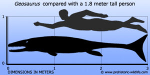 List of 21 Prehistoric Crocodiles - Prehistoric-Wildlife