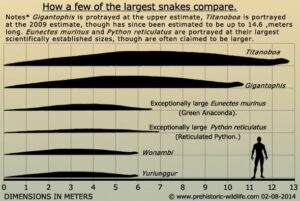 Top 10 Extinct Snakes (+ Jaw Dropping Facts You Don't Know ...