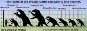 Megatherium