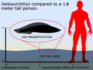 Top‭ ‬10‭ ‬Prehistoric fish (With Pictures) - Prehistoric-Wildlife