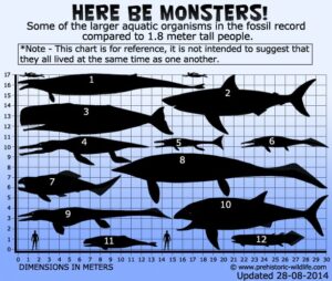 Leedsichthys - Size, Diet & Facts with Pictures