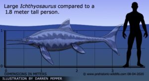Top 12 Prehistoric Marine Reptiles (Often Confused As ‘Water Dinosaurs ...