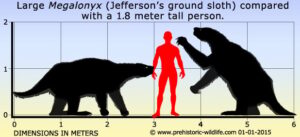 10 Prehistoric Sloths - Giant Species That Dominated the Ice Age
