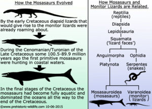 Mosasaurus | Fossil Map, Size, Classification