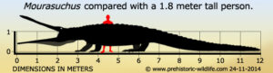 List of 21 Prehistoric Crocodiles - Prehistoric-Wildlife