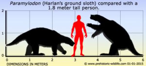 10 Prehistoric Sloths - Giant Species That Dominated the Ice Age