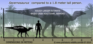 Top 10 duck-billed dinosaurs aka Hadrosaurs - Prehistoric-Wildlife