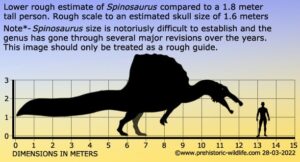 Spinosaurs: The Specialised Predatory Dinosaurs of the Spinosauridae ...