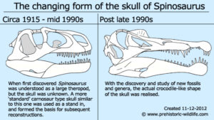 Spinosaurs: The Specialised Predatory Dinosaurs of the Spinosauridae ...
