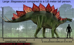 Top 12 Herbivorous Dinosaurs (Plant Eating Dinosaurs) - Prehistoric ...
