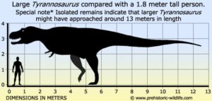 Tyrannosaurus – Size, Hunting, Diet, Facts