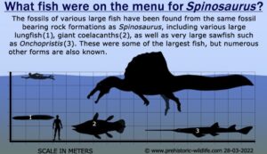 Spinosaurs: The Specialised Predatory Dinosaurs of the Spinosauridae ...