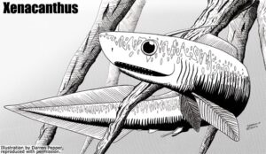 Top Ten Prehistoric Sharks - Prehistoric-Wildlife