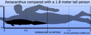 Top Ten Prehistoric Sharks - Prehistoric-Wildlife