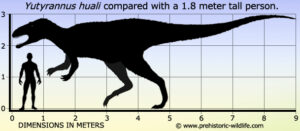 Top Ten Predatory Dinosaurs Prehistoric Wildlife